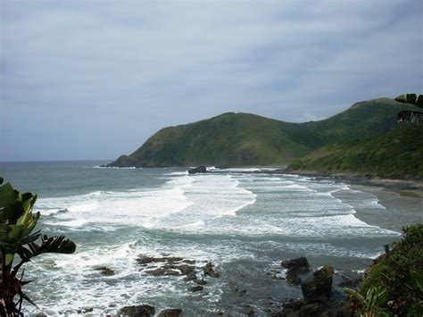 Sharons Sunlit Memories Whitman Sandy And Sue No 1956 1963