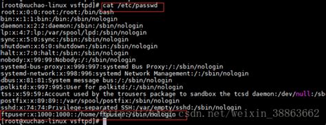 通过linux系统搭建ftp服务然后使用filezilla客户端进行上传下载linux创建ftp用户使用filezliia登录 Csdn博客