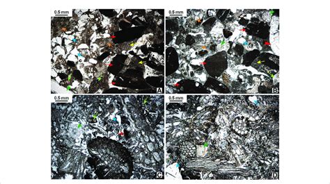 Micrographs Of Selected Lithofacies In The Acinipo Limestone A Download Scientific Diagram