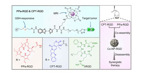 Controlling Disassembly Of Paramagnetic Prodrug And Photosensitizer