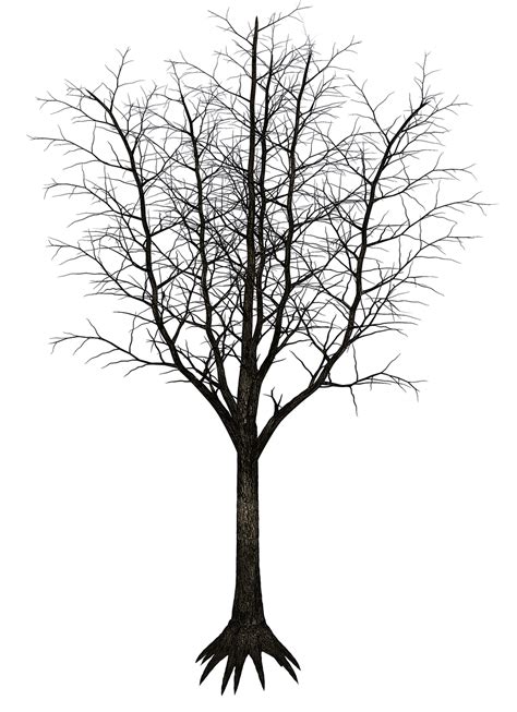 Download Isolated Tree Tree Tribe Royalty Free Stock Illustration Image Pixabay