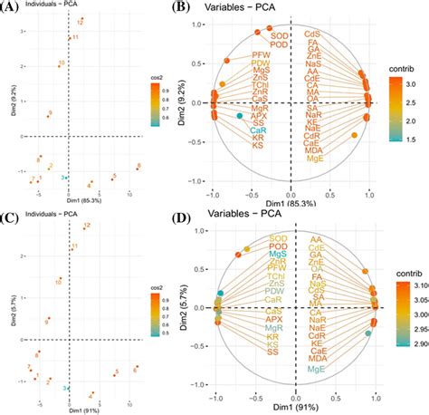 scores and loading plots of principal component analysis on different