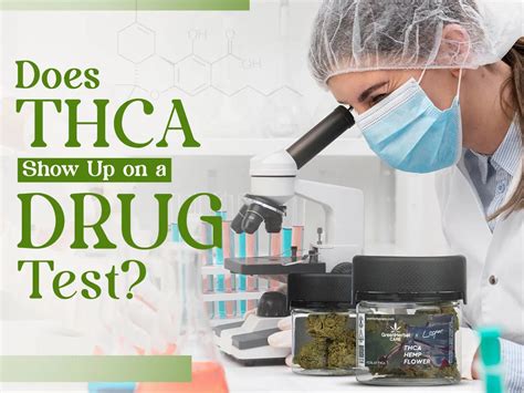 Does Thca Show Up On A Drug Test Green Herbal Care