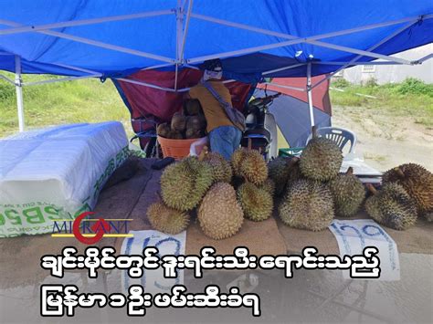 ချင်းမိုင်တွင် ဒူးရင်းသီးရောင်းချသည့် မြန်မာ ၁ ဦး ဖမ်းဆီးခံရ Migrant