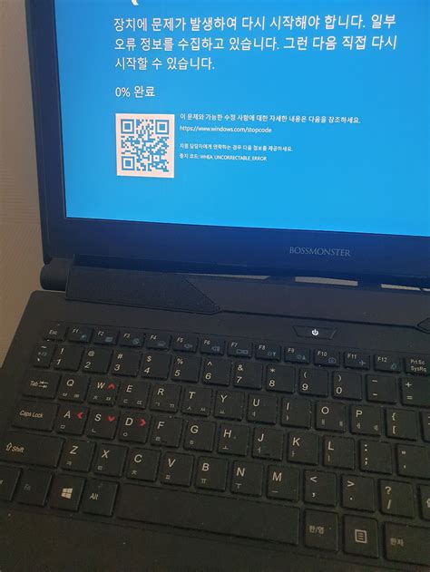 Wheauncorrectableerror 블루스크린으로 고통받아서