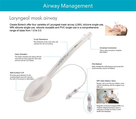 How To Access Airway At Daria Willis Blog