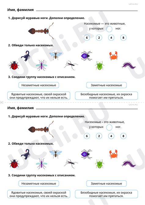 📒 Рабочий лист №3 по теме “Мир животных насекомые Базовый уровень” для 1 класса Учи ру