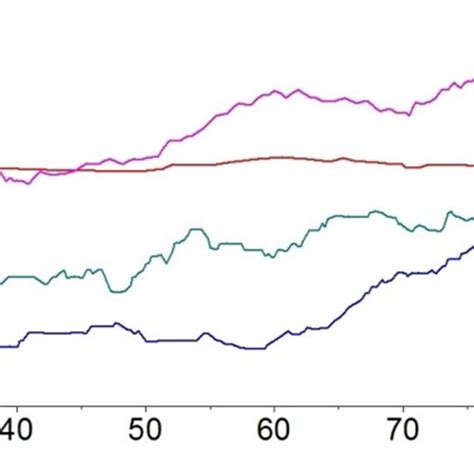 show part of the fracture models with different jrc values figure 5