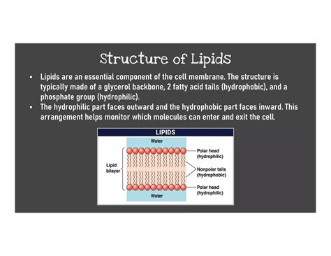 Chemical Structure Of Lipids Ppt
