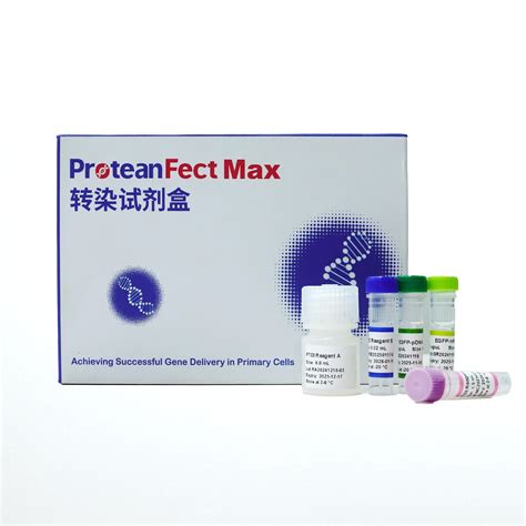 Proteanfect® Max转染试剂盒 转染 西湖凝聚体 西湖凝聚体（杭州）生物科技有限公司