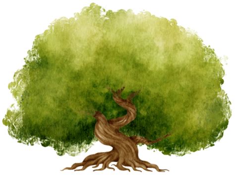 Tree Of Life PNGs For Free Download