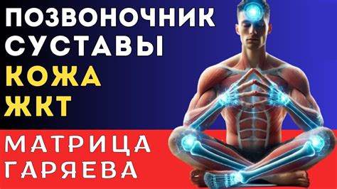 Матрица Гаряева Регенерация кожи костей и здоровья ЖКТ Youtube