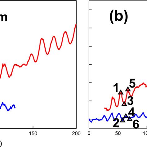 Time Evolution Of Solute Concentration In Liquid Phase And Dendritic Download Scientific