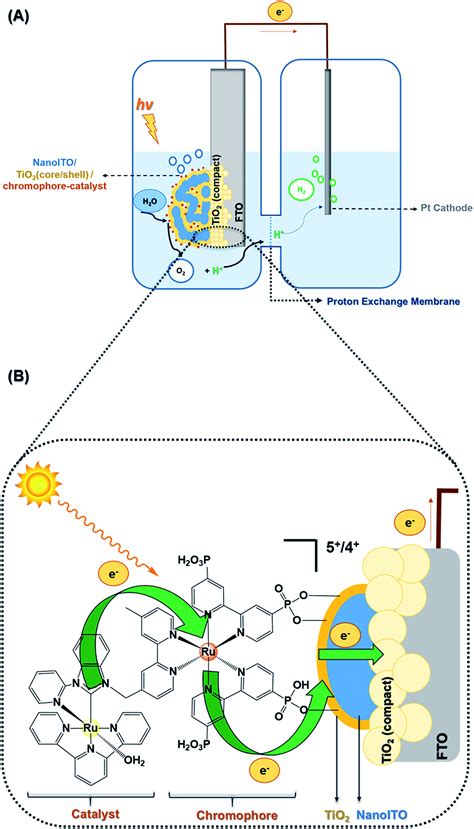 the role of layer by layer compact tio 2 films in dye sensitized