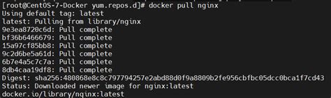 docker从入门到精通之docker常用命令 docker find和docker search csdn博客