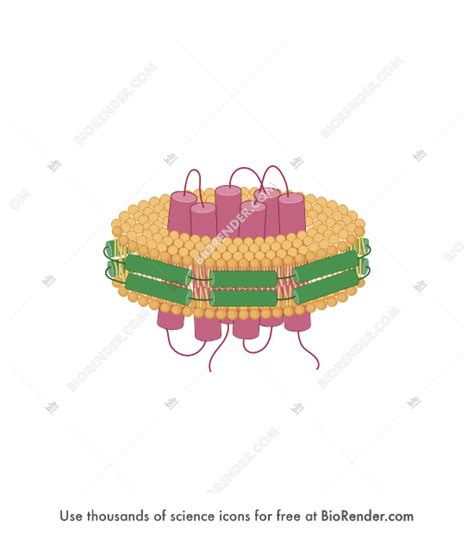 Free Nanodisc Icons Symbols And Images Biorender