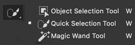 the essential guide to photoshop object selection