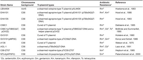 Agrobacterium Mediated Plant Transformation Biology And Applications