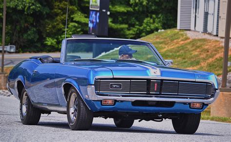 A Cougar Pic Your Cougar Pic 141 By Storkman Classic Cougar