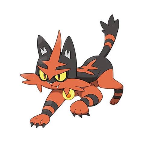 Shiny Litten Evolution Chart 100 Perfect Iv Stats And Incineroars