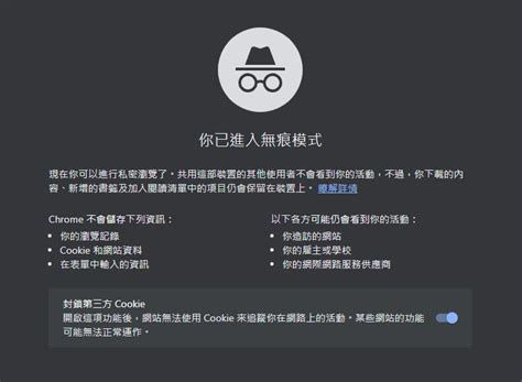 Google限制成人網站PC手機設定教學解決 DLsiteFANZA 搜不到問題 PinoGamer 皮諾電玩