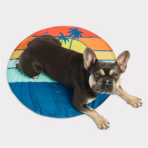Gf Pet® Ice Mat® Pet Cooling Mat Aqua Feels Up To 7° Cooler