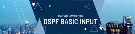 ospf basic input