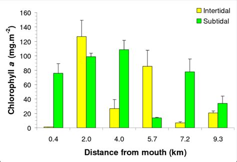 Intertidal And Subtidal Benthic Chlorophyll A Along The Longitudinal Download Scientific