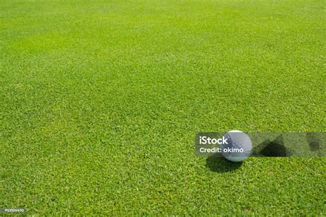 골프 코스 잔디는 아름 다운 고 골프공 퍼 팅 그린에 골프는 잔디에 재생 할 수 있는 스포츠 거친에 대한 스톡 사진 및 기타