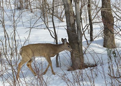 Tom Baustert Photography Added Tom Baustert Photography