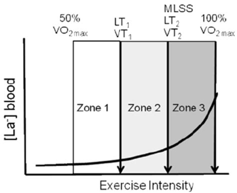 A Three Intensity Zone Model Based On Identification Of Ventilatory