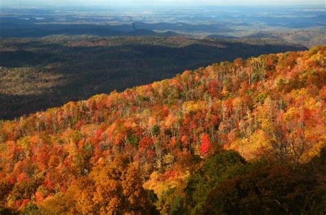 Top 11 Scenic Drives In Tennessee For Breathtaking Views