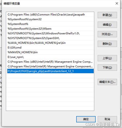 在arcgis server上创建oracle地理空间数据库 在 oracle 中创建地理数据库 csdn博客