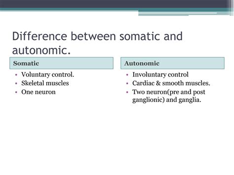 SOLUTION The Autonomic Nervous System Its Functions And Its Importance In The Human Body