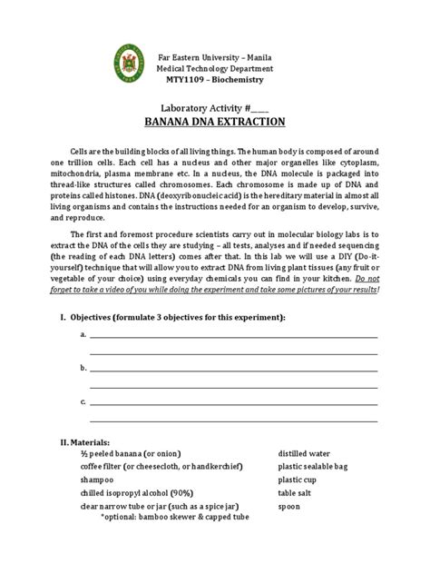 Banana Dna Extraction Pdf Cell Biology Dna