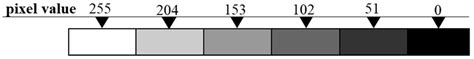 movement in a video detection scheme for sign language gesture