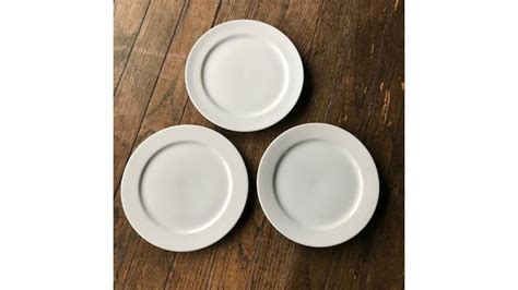 Flat Plate 25 Cm Tc 100 Mandt International Hospitality Supplies Raja