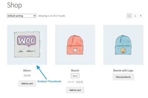 Types Of Woocommerce Issues And How To Fix Them Wp Swings