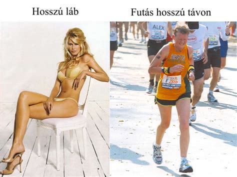 Evolution Of Tibia Power Point Ppt