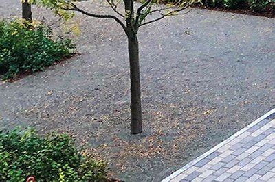 INSTALLATION Organic Lock