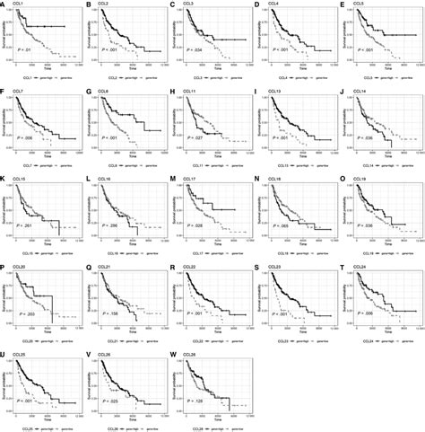 Survival Curve Of Ccl Subgroup A Ccl1 B Ccl2 C Ccl3 D Ccl4 E