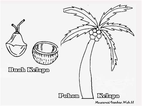 Galeri Cara Menggambar Sketsa Pohon Kelapa Terbaru Tutorial Gambar Teknik