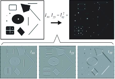 Components Of Both Hessian Matrix And Determinant Download Scientific