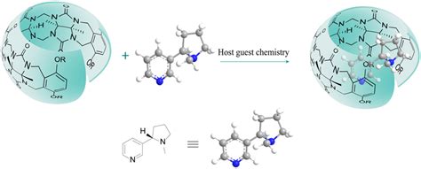 Possible Inclusion Modes Of Inclusion Complexes Download Scientific