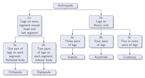 1 Classification Keys — Pc Latex