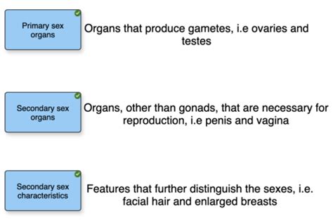 chapter 27 28 homework flashcards quizlet