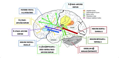 the where question a cartographic map of where the neural code for