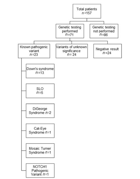 available genetic testing results in patients with pulmonary vein
