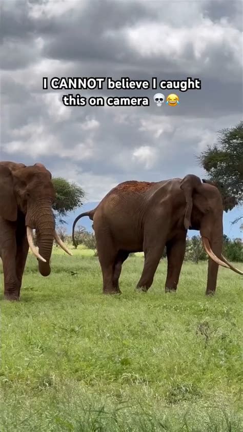 Bro Lost In Dimensions Rthecontentfarm