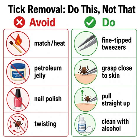 Tick Removal Done Right The Viral Hacks That Backfire And The One